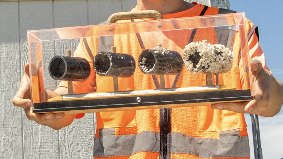 Oregon and Coastal Authorities on Lookout for Invasive Species on Boats