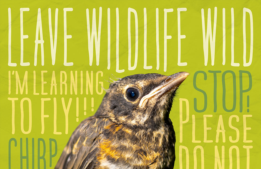 301 Moved Permanently