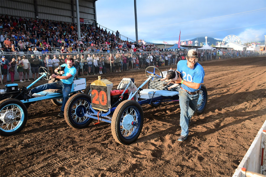 Nothing Like It Around the World, Oregon Coast's Pig N' Ford Races at ...